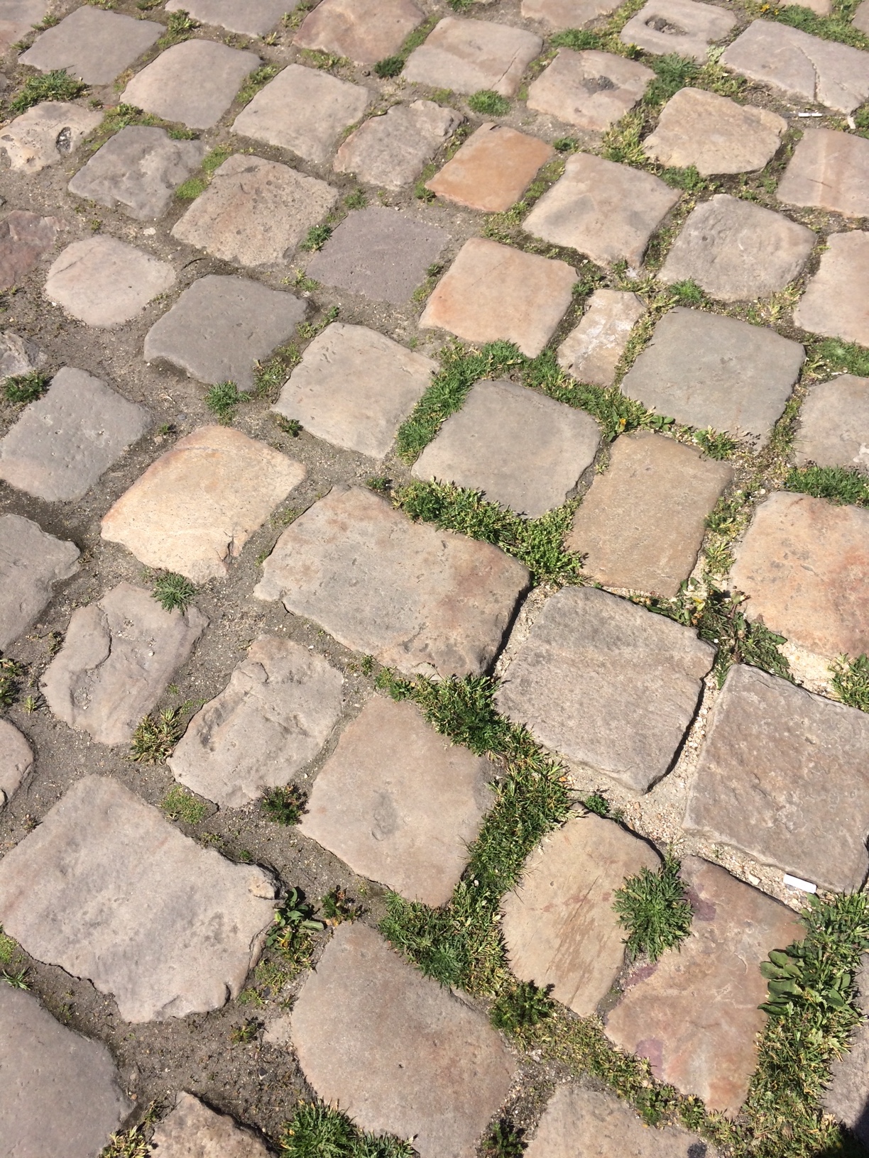 The Powerful ‘Pavers of Paris’ – How They Get You Walking without ...