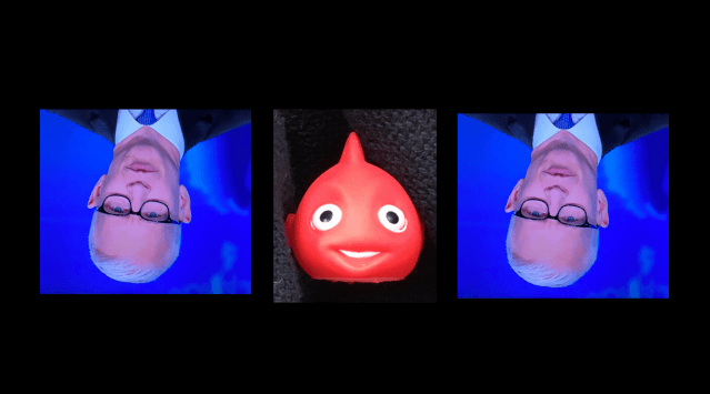 Do the ‘Fish Experiment’ to ‘See’ What We’re Built to See | The ...